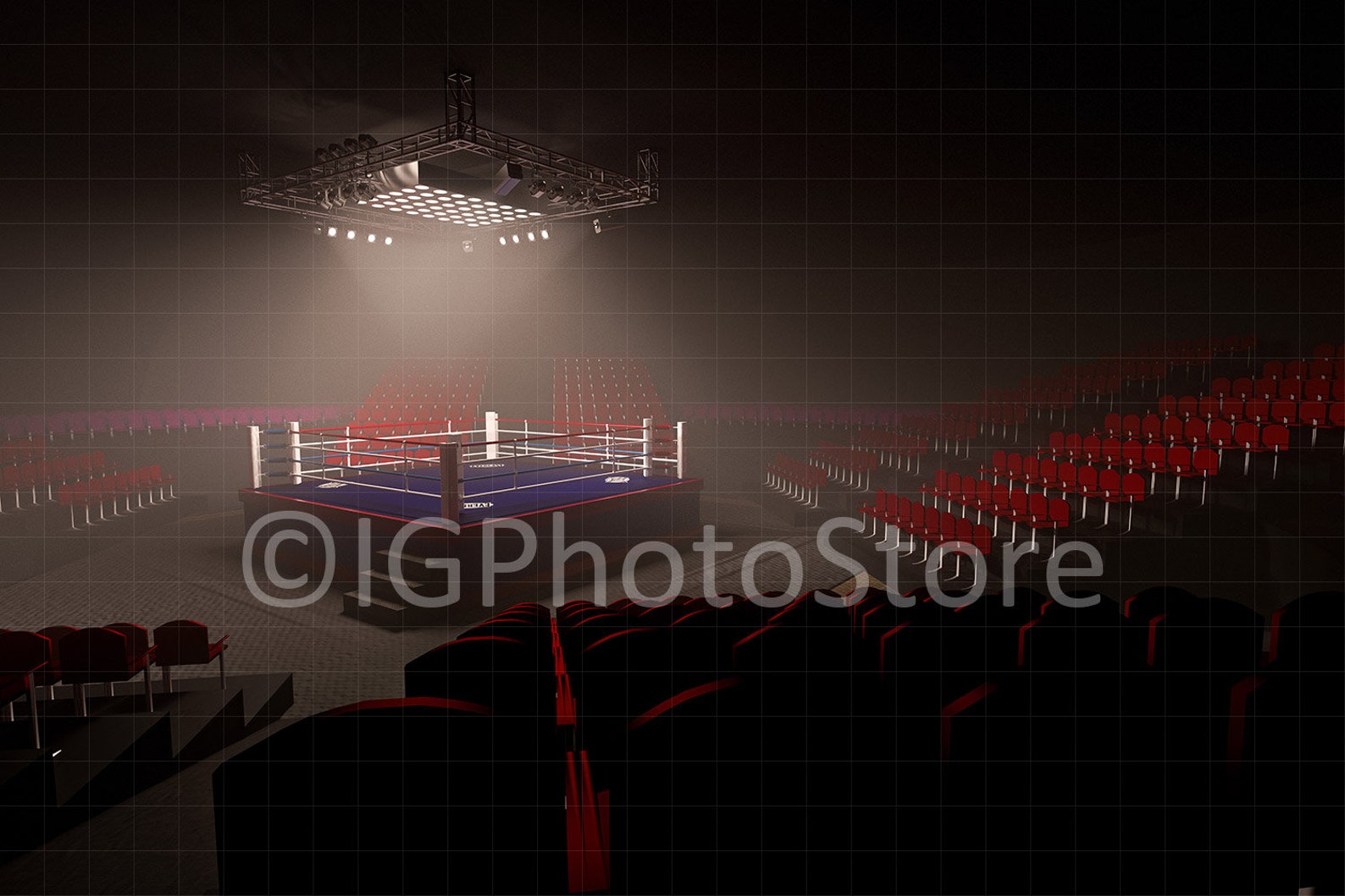 Boxing Arena Digital Backdrop Boxing Ring Digital Backdrop - Etsy Canada