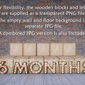 6 Months Baby Digital Backdrop, Six Month Baby Milestone Background ...