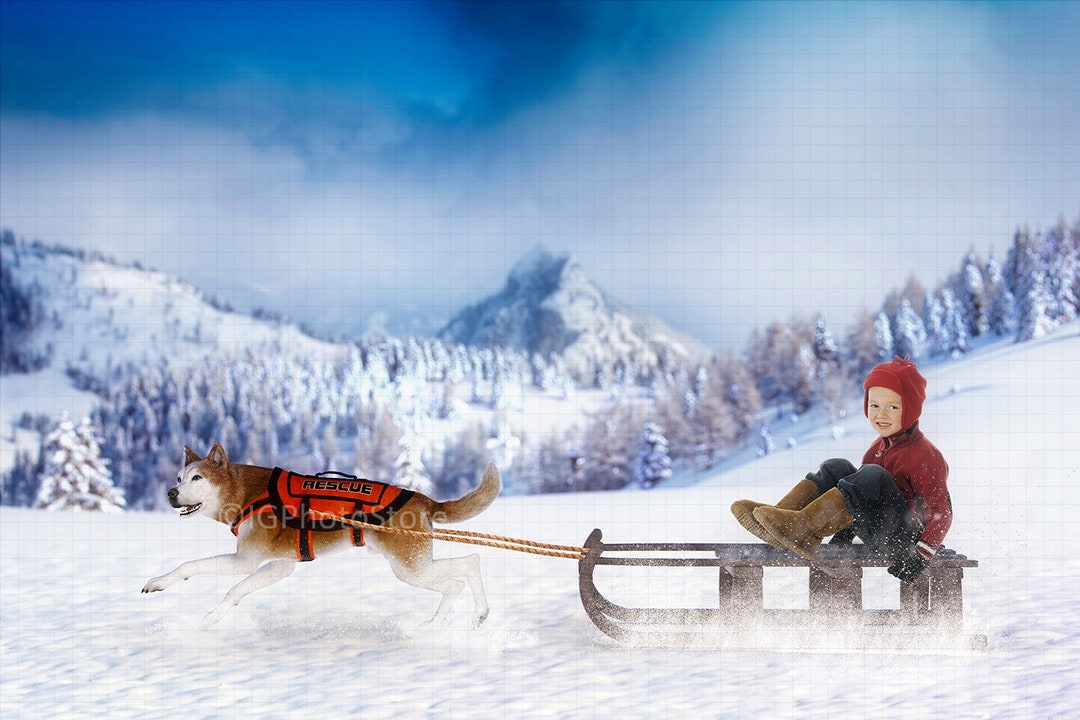 Husky Pulling Sled Digital Backdrop, Sleigh Ride Background for Kids ...