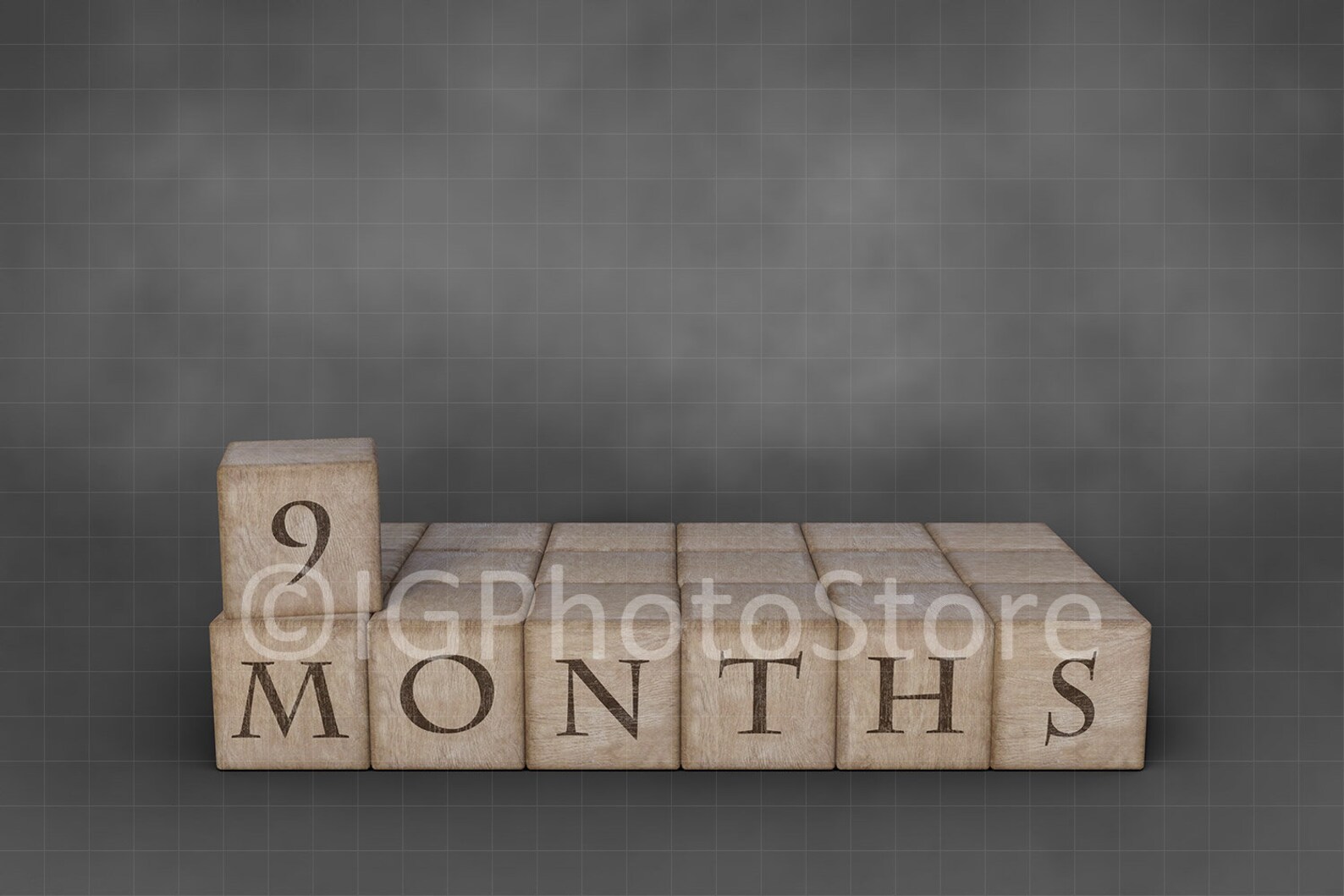 9 Months Baby Portrait Digital Backdrop Nine Months Baby | Etsy