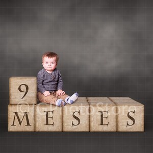 Baby First Year Digital Backgrounds, Spanish Version, 3, 6, 9 Months ...