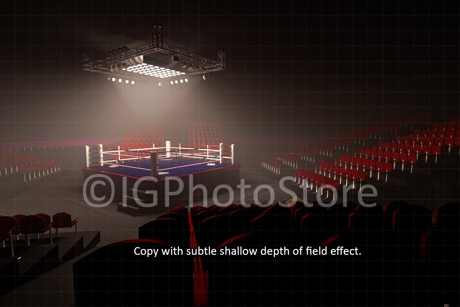 Boxing Arena Digital Backdrop Boxing Ring Digital Backdrop - Etsy Canada