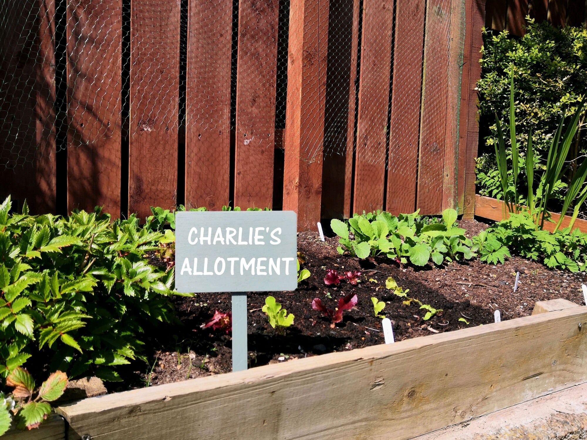 Personal Allotment Sign Hand Made Painted Ideal Father's - Etsy UK