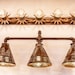 Rustic Vintage Turkey Brooder 25 Disk Drop Light - Etsy