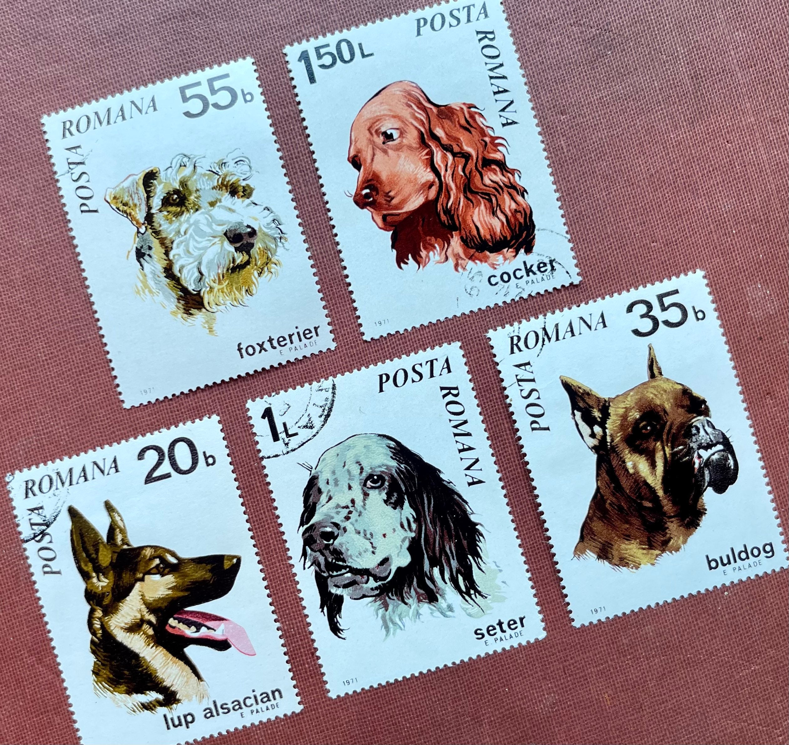 Set of 5 Large Postage Stamps featuring Dog Breeds Circa | Etsy