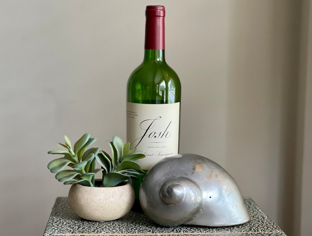 Large Worn Metal Nautilus Shell for Decor - Etsy