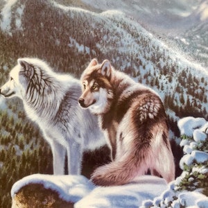 The Lookouts by Daniel Renn Pierce, Shadow Guardians Collection, Fifth ...