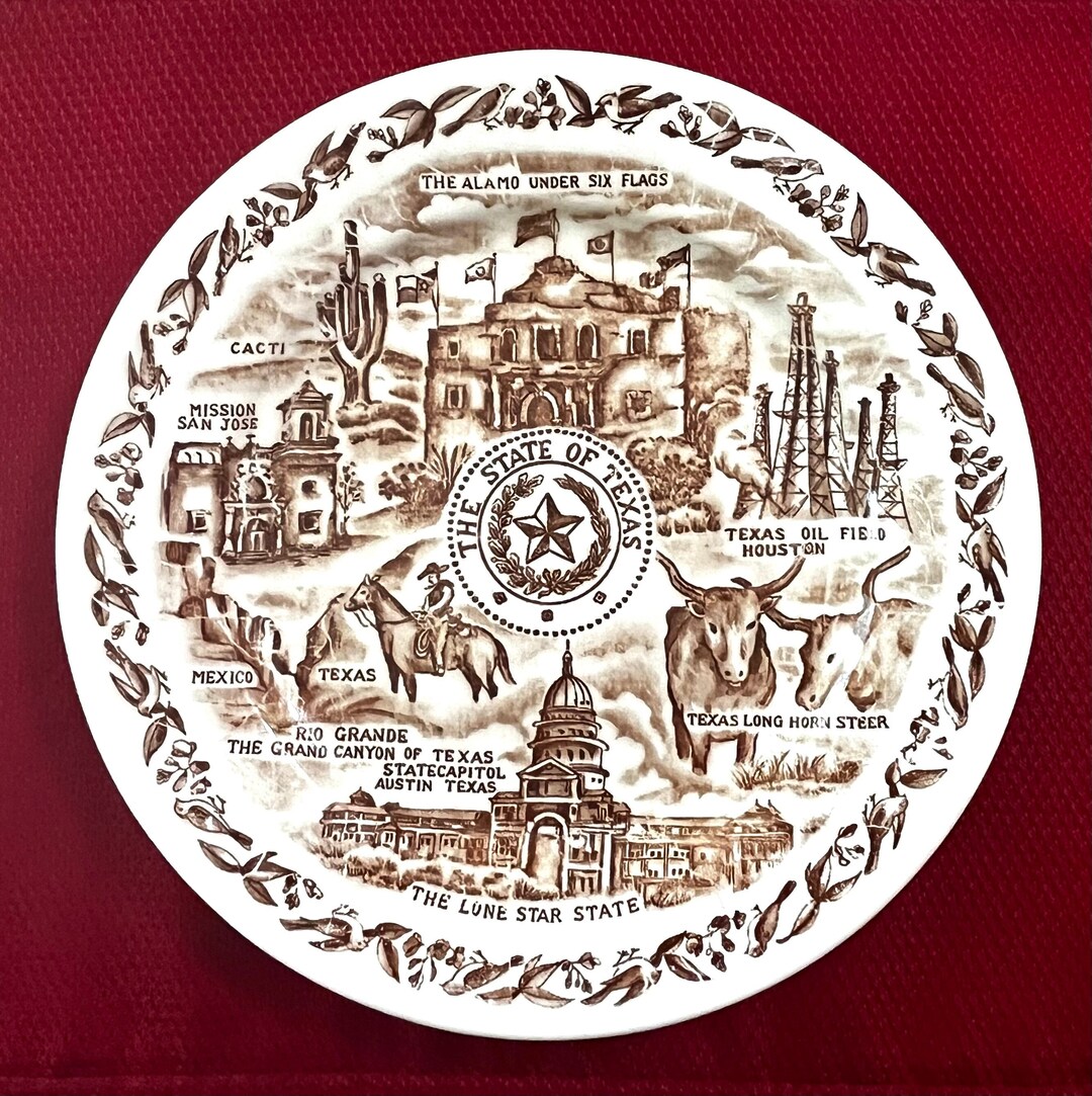The State of Texas Souvenir Plate, the Lone Star State, the Alamo Under ...