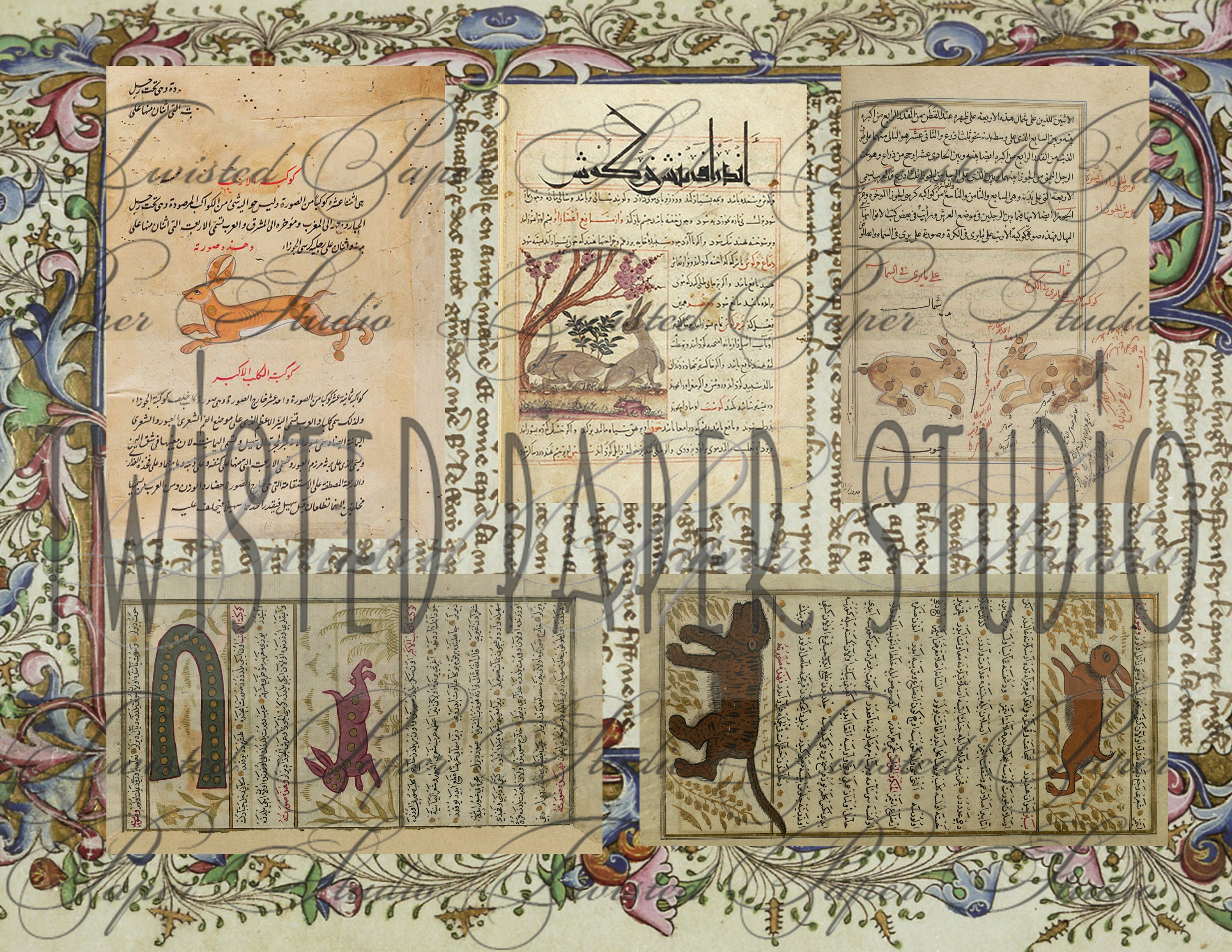 Medieval Renaissance Bunny Ephemera Kit - Etsy