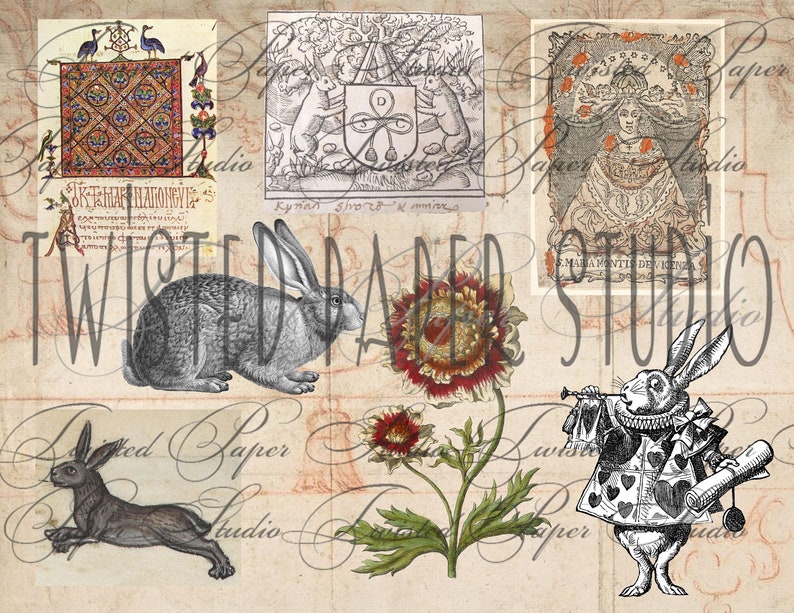 Medieval Renaissance Bunny Ephemera Kit - Etsy
