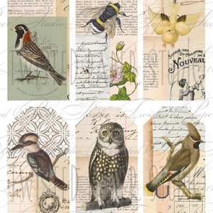 Book Page Collage Digital Kit - Etsy