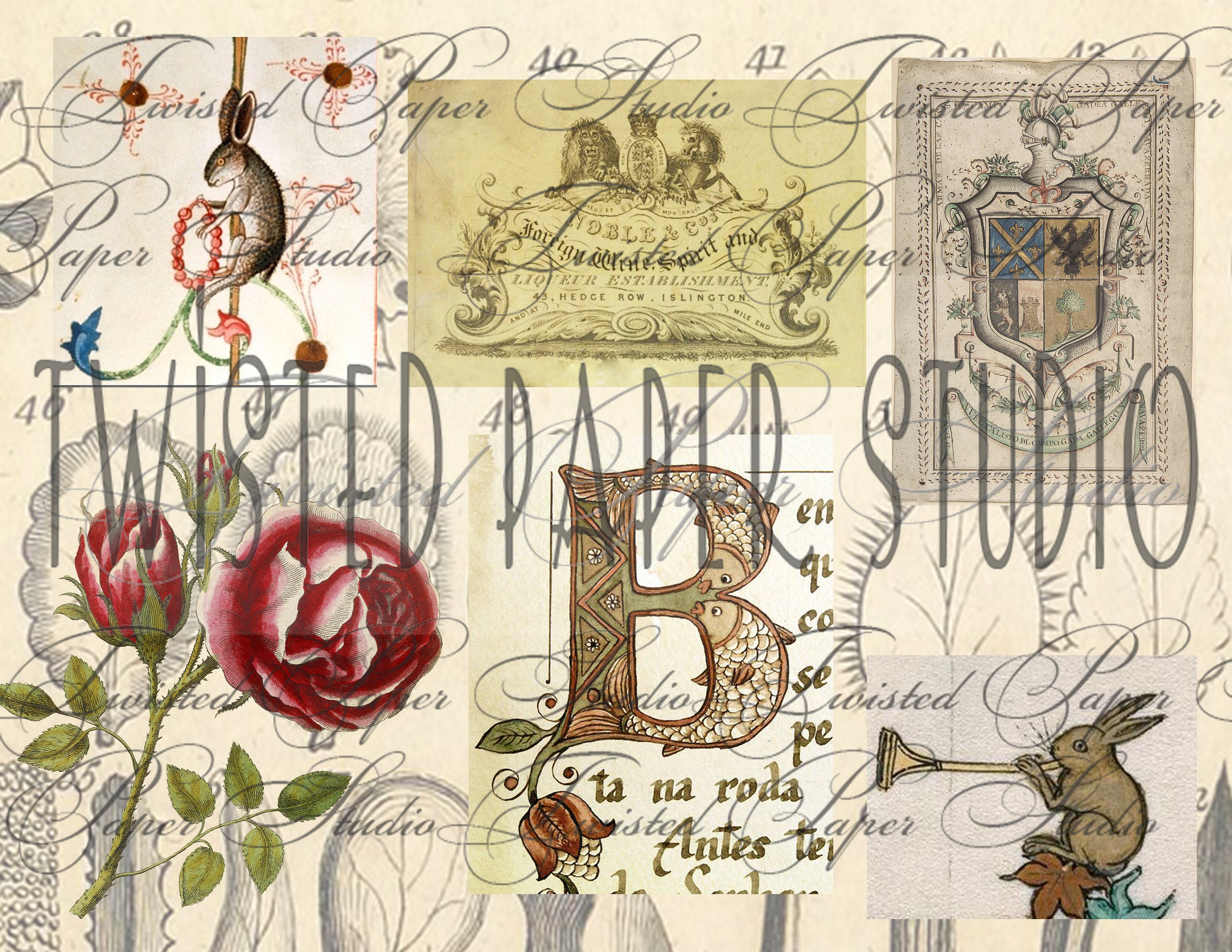 Medieval Renaissance Bunny Ephemera Kit - Etsy