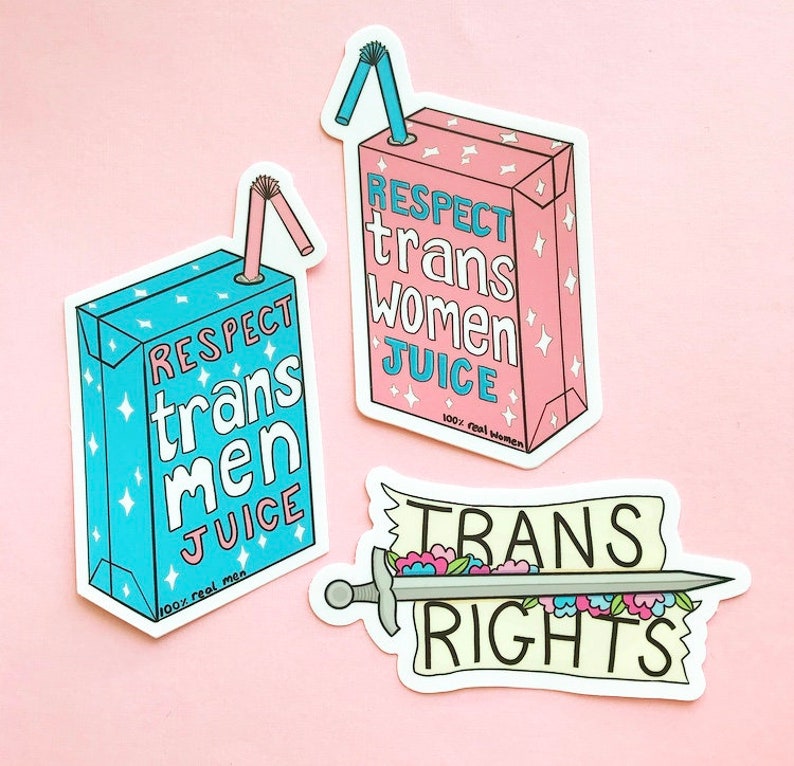 Trans Positivity Trans Rights Sword Vinyl Sticker With Flowers - Etsy