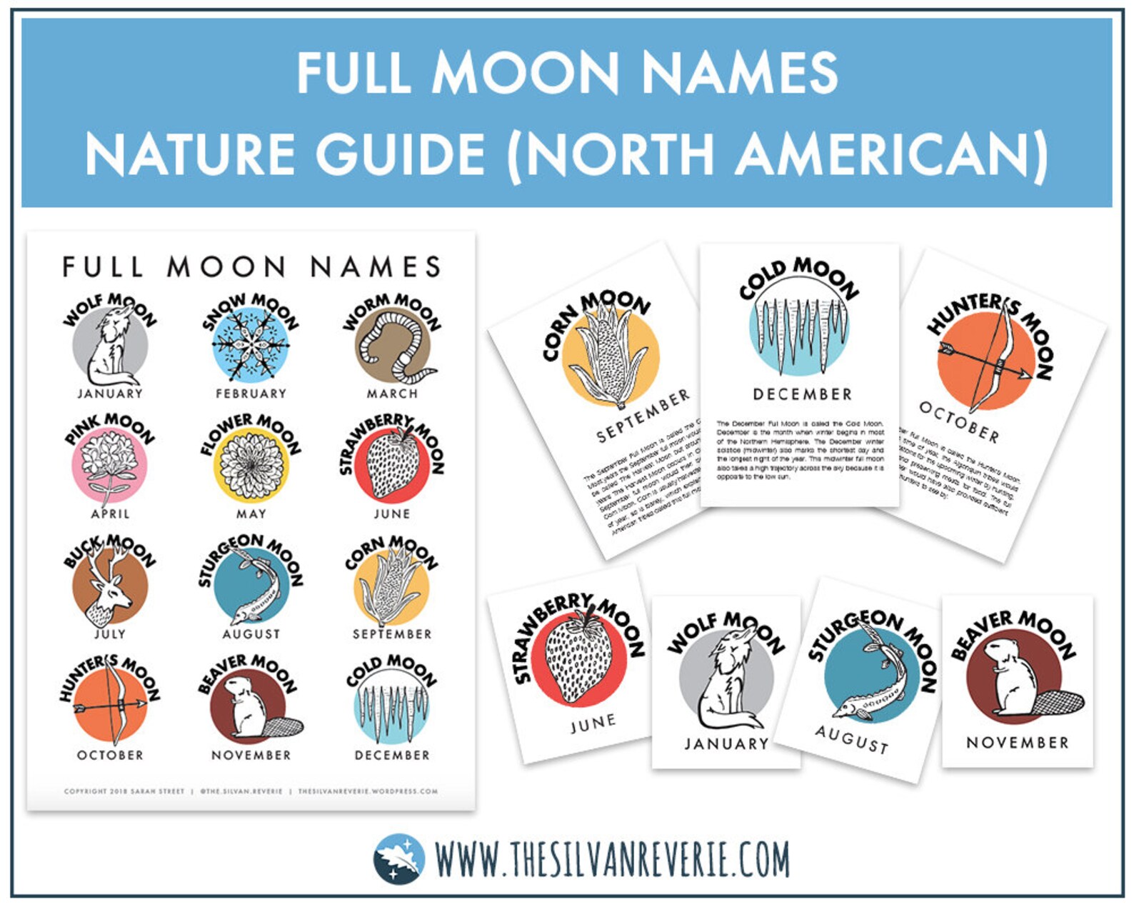Full Moon Names of North America Poster Fact Cards and ID | Etsy
