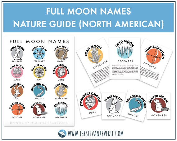 Full Moon Names of North America Poster Fact Cards and ID | Etsy