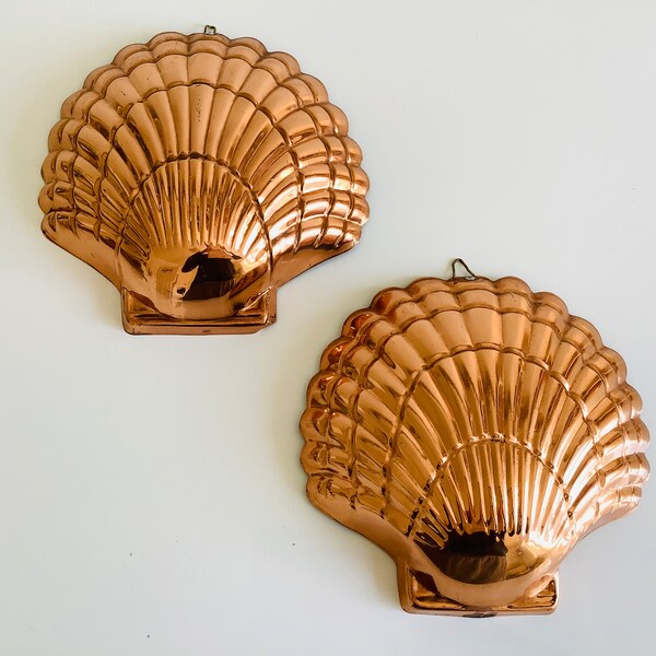 Seashell Mold - Etsy