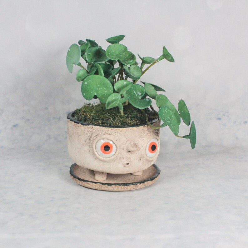 Vaso de cerâmica com olhos grandes e pires, vaso de barro exclusivo com ...