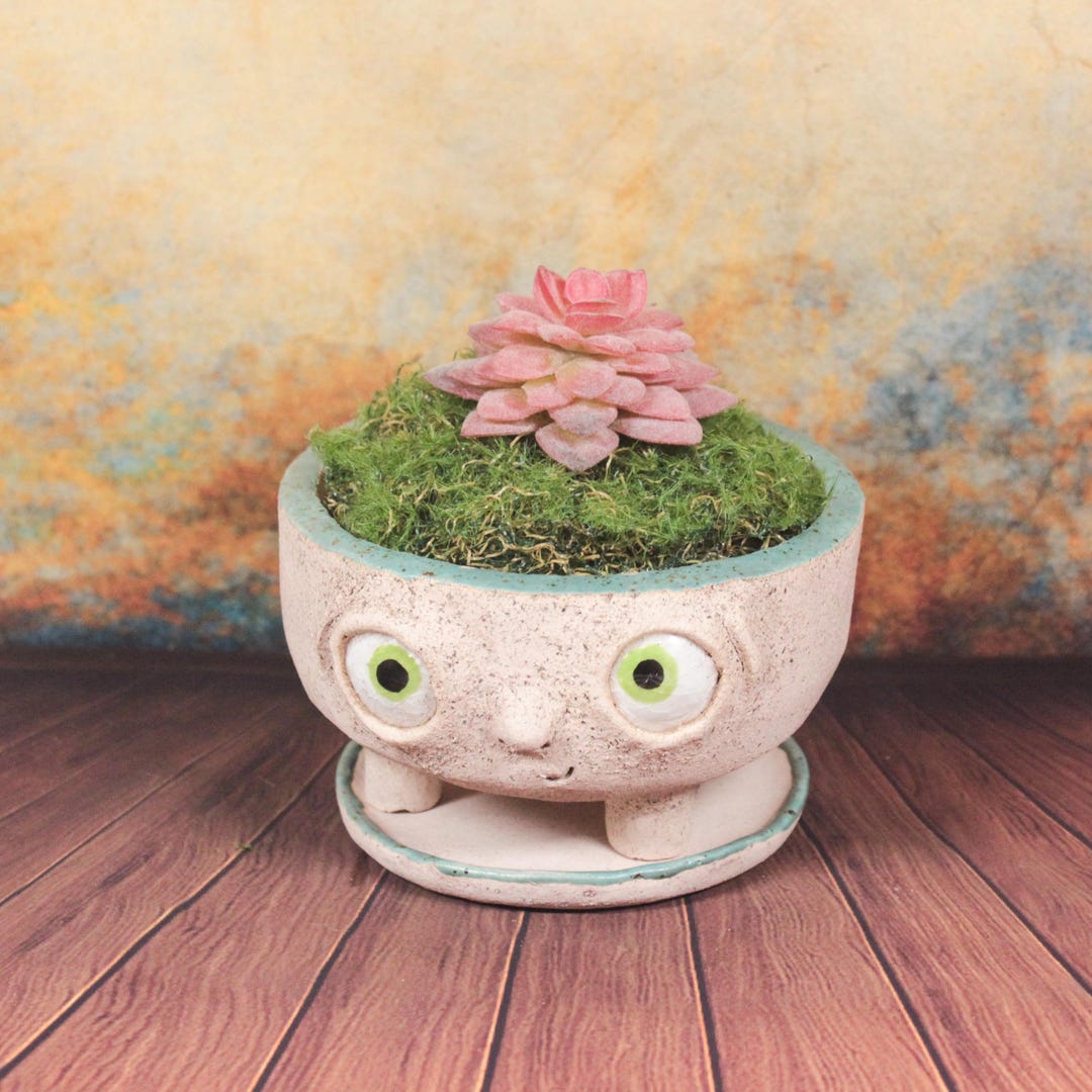 Ceramic Planter With Funny Face. Pot for Small Succulents or Cactus ...