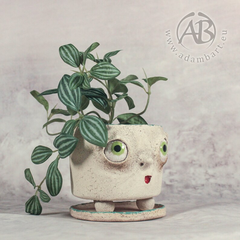 Ceramic Flowerpot With Funny Face. Pot for Small Succulents - Etsy