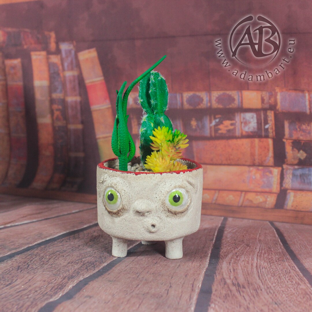 Ceramic Planter With a Funny Face. Pot for Small Succulents or Air ...