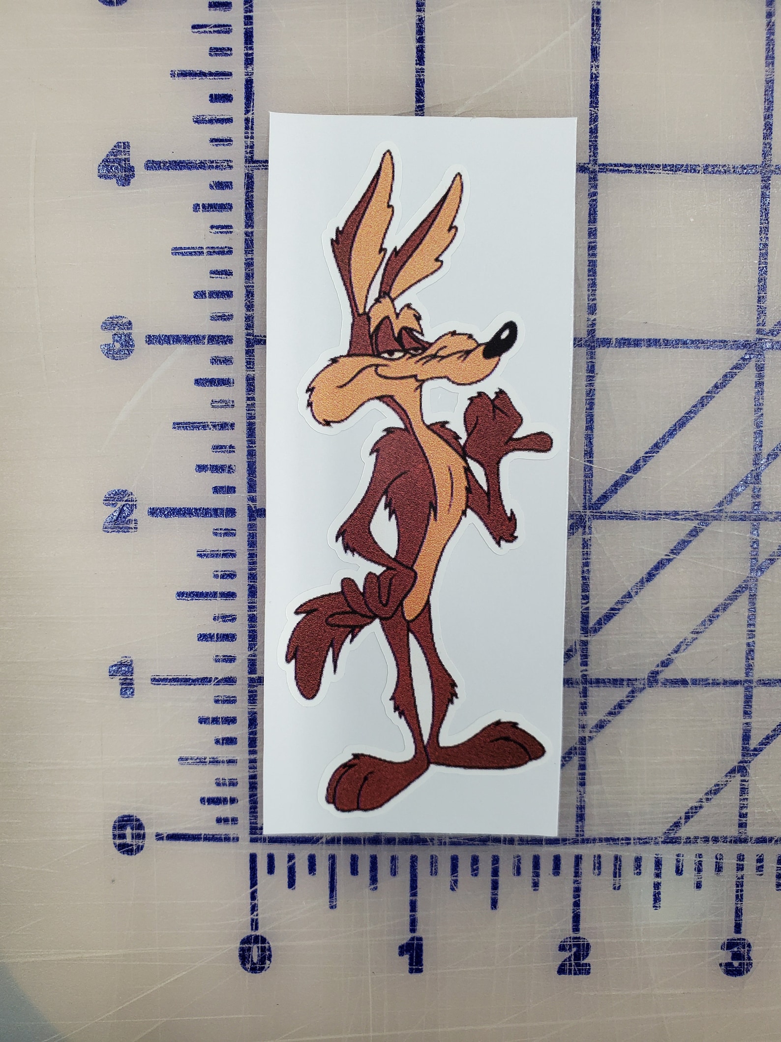 Coyote Road Runner Vinyl Decal Sticker Custom Made to Order | Etsy
