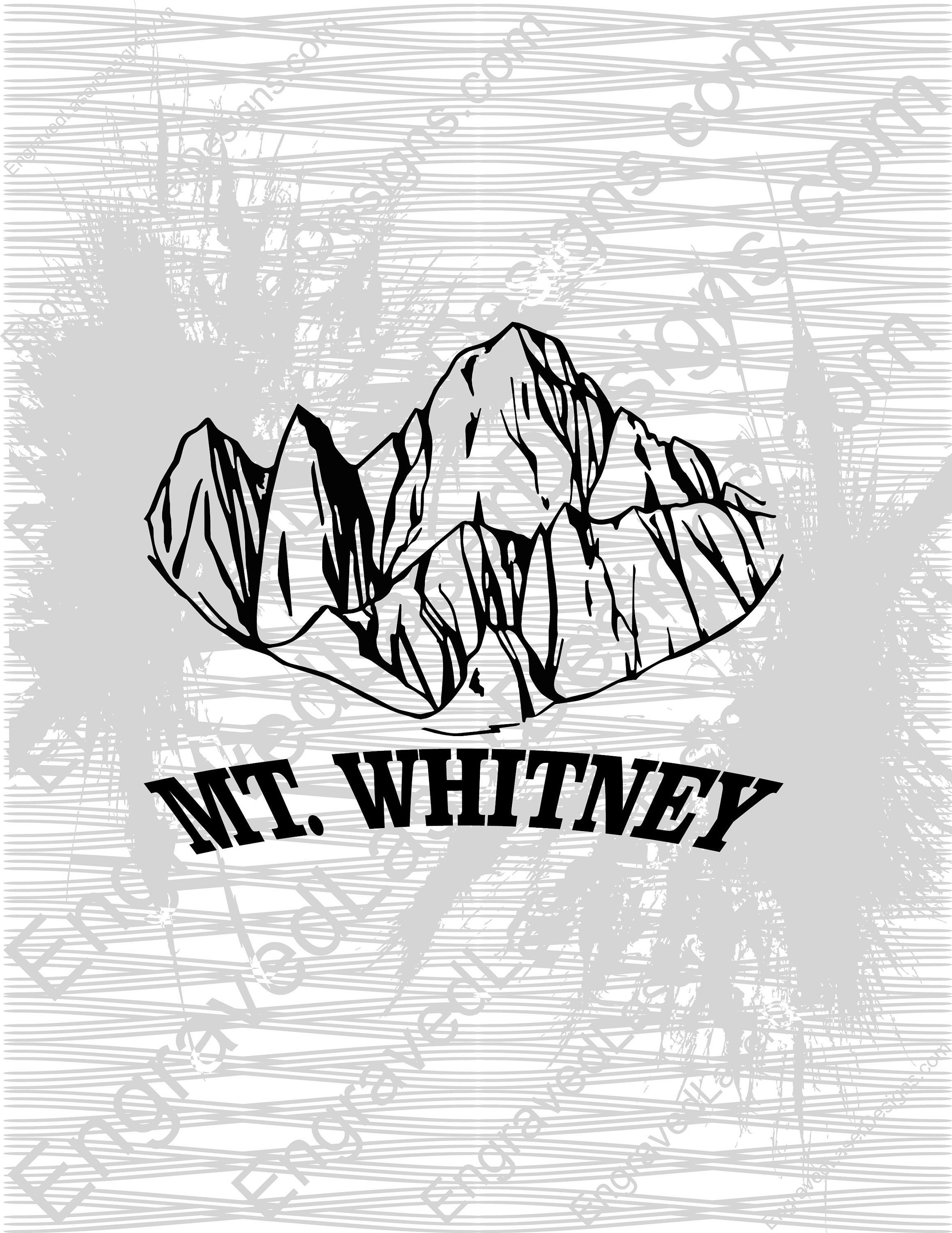 Whitney Logo