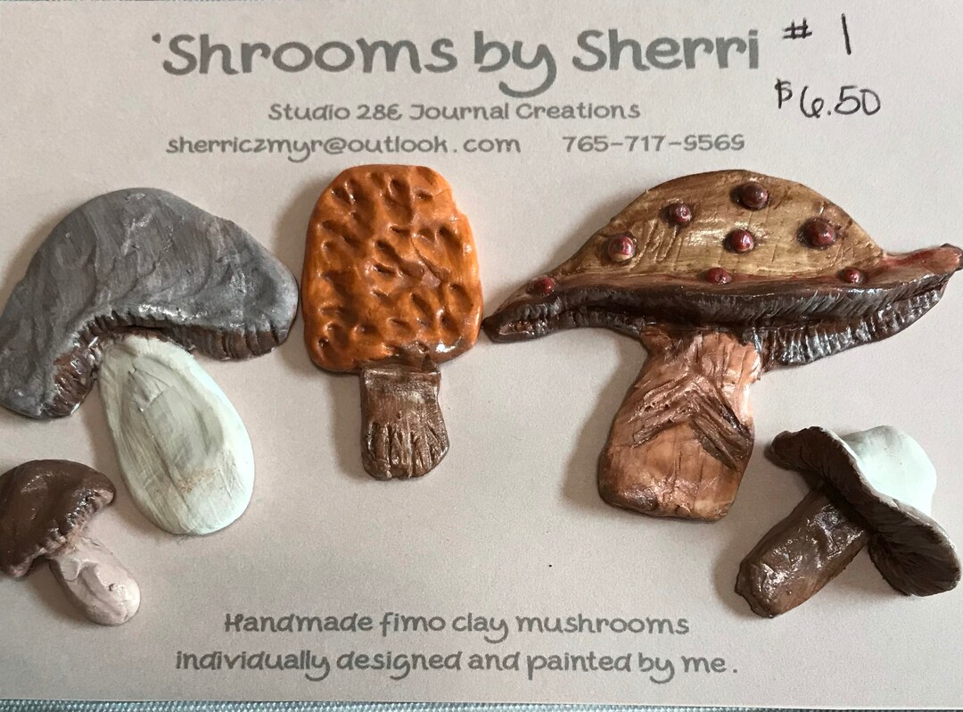 Shrooms by Sherri Fimo Clay Mushroom Embellishments - Etsy UK