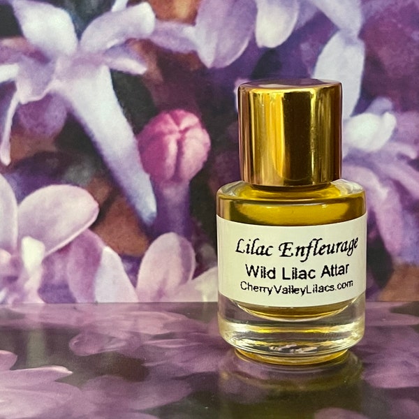 Lilac Essential Oil - Etsy