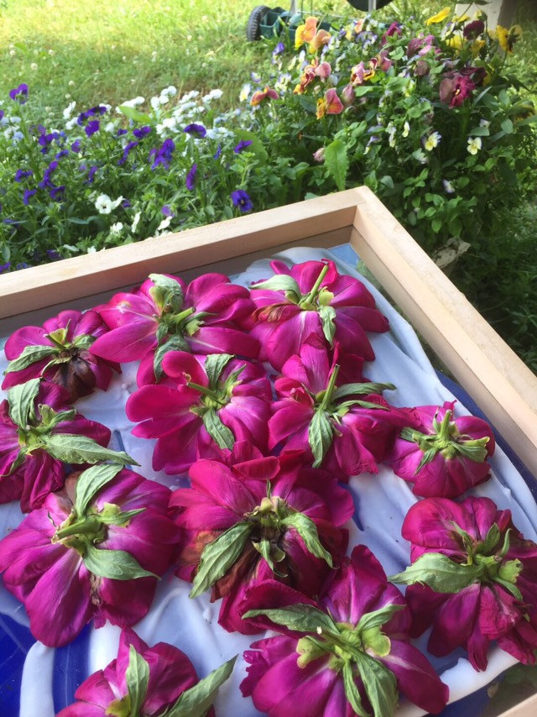 Enfleurage Chassis Authentic Classic Vintage Glass Frames for ...