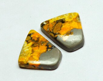 Bumble bee jasper | Etsy