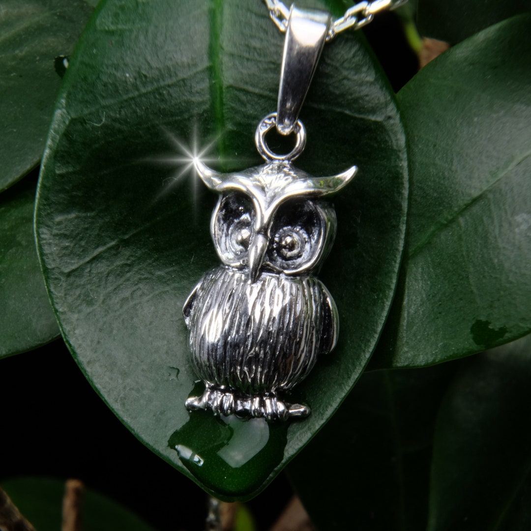 Kluge Eulen Kettenanhänger aus 925 Sterling Silber Eule - Etsy 日本
