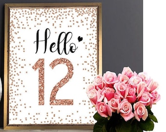Rose Gold 12th Birthday Sign Hello 12 Cheers to 12 Years - Etsy