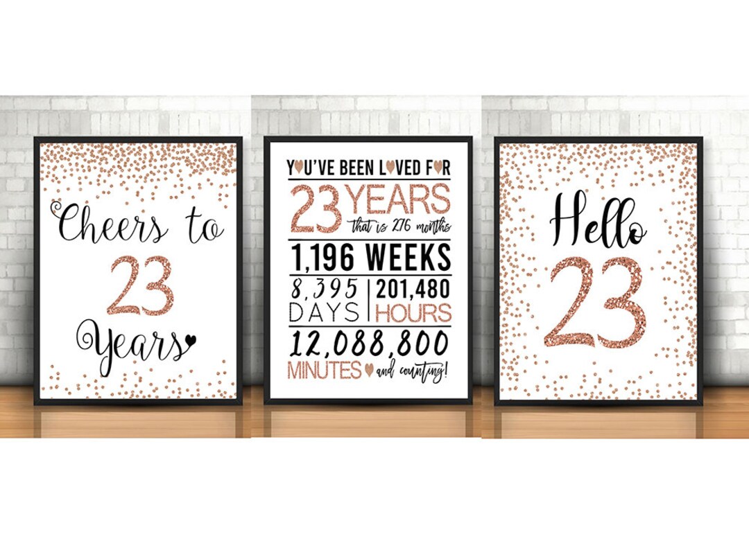 23rd Birthday Signs Bundle, Cheers to 23 Years, Hello 23, Happy 23rd ...