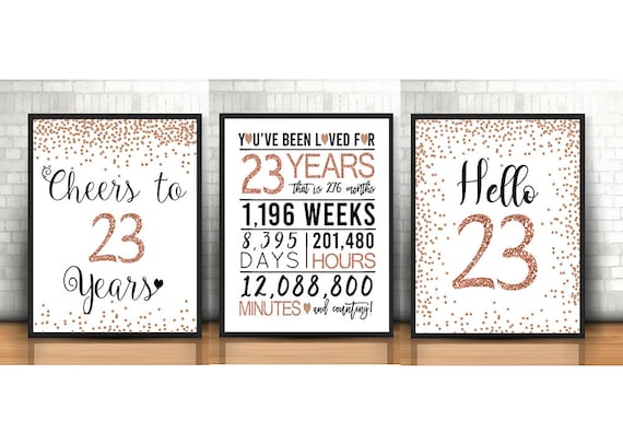 23rd Birthday Signs Bundle Cheers to 23 Years Hello 23 | Etsy