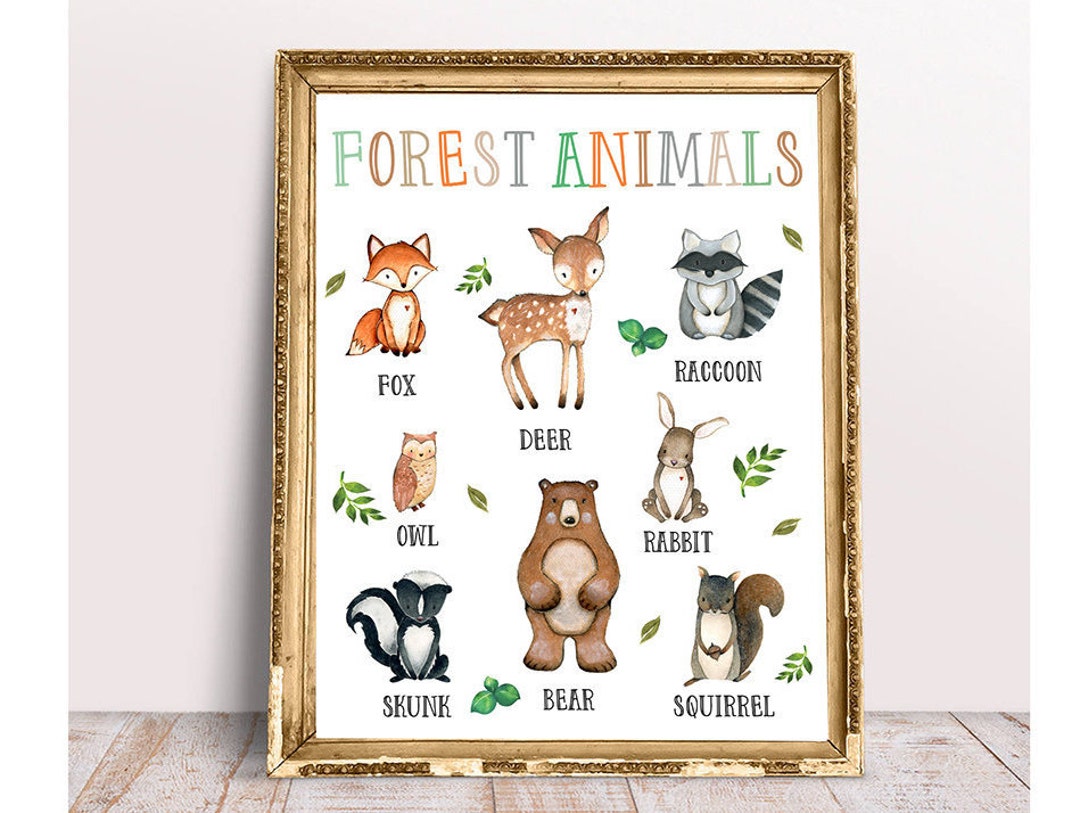 Forest Woodland Animals Education Printable, Homeschool Learning, Bear ...