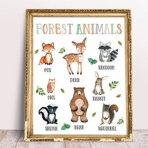 Forest Woodland Animals Education Printable Homeschool - Etsy