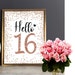 16th Birthday Signs Bundle Cheers to 16 Years Hello 16 - Etsy