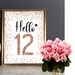 12th Birthday Signs Bundle Cheers to 12 Years Hello 12 - Etsy