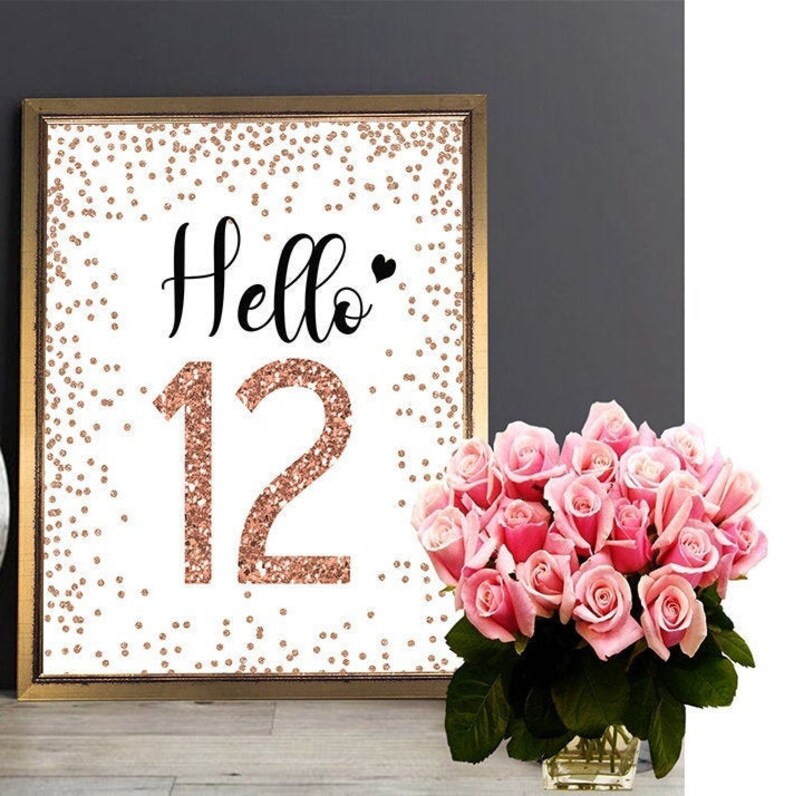 12th Birthday Signs Bundle Cheers to 12 Years Hello 12 | Etsy
