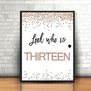 13th Birthday Signs Bundle, Cheers to 13 Years, Hello 13, Happy 13th ...