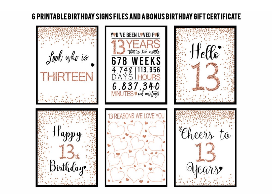 13th Birthday Signs Bundle, Cheers to 13 Years, Hello 13, Happy 13th ...