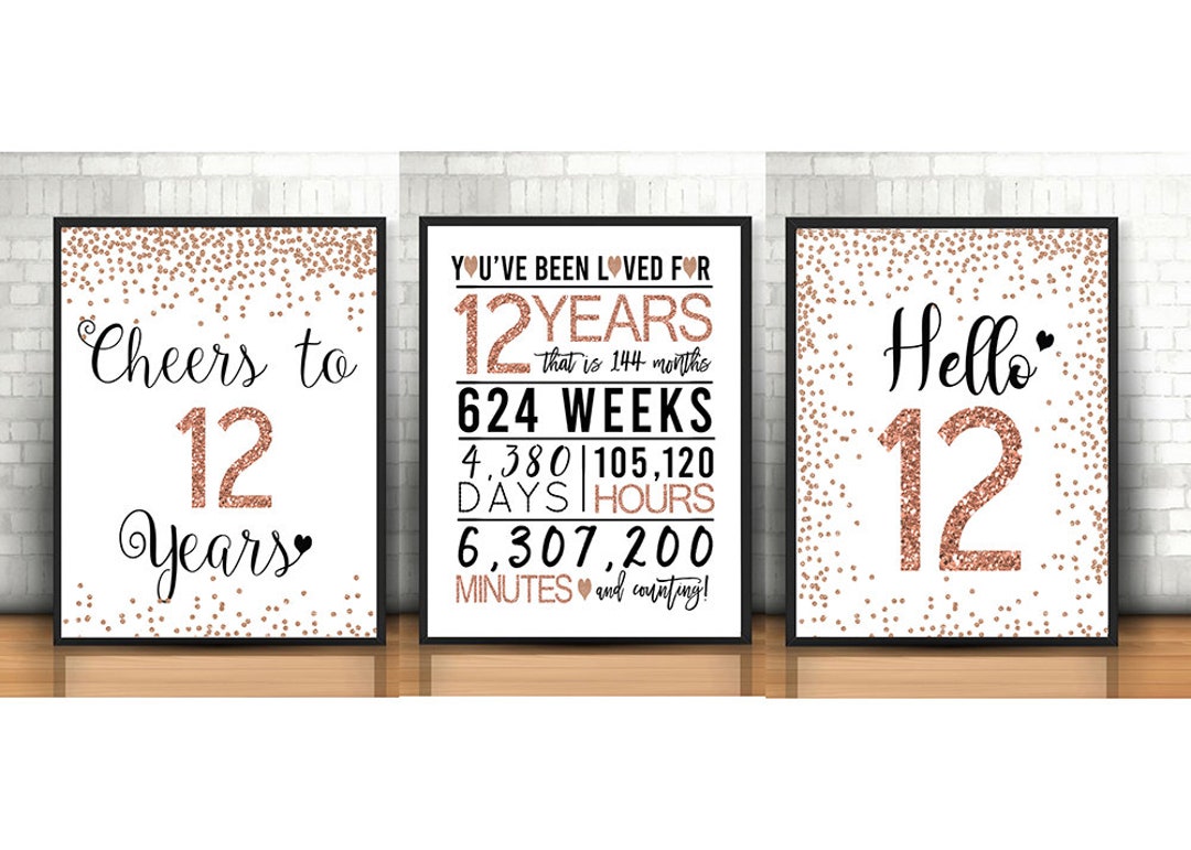 12th Birthday Signs Bundle, Cheers to 12 Years, Hello 12, Happy 12th ...