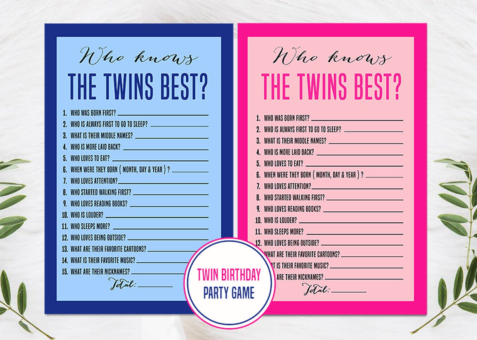 Blue and Pink Twin Birthday Party Game, Who Knows the Twins Best Game ...