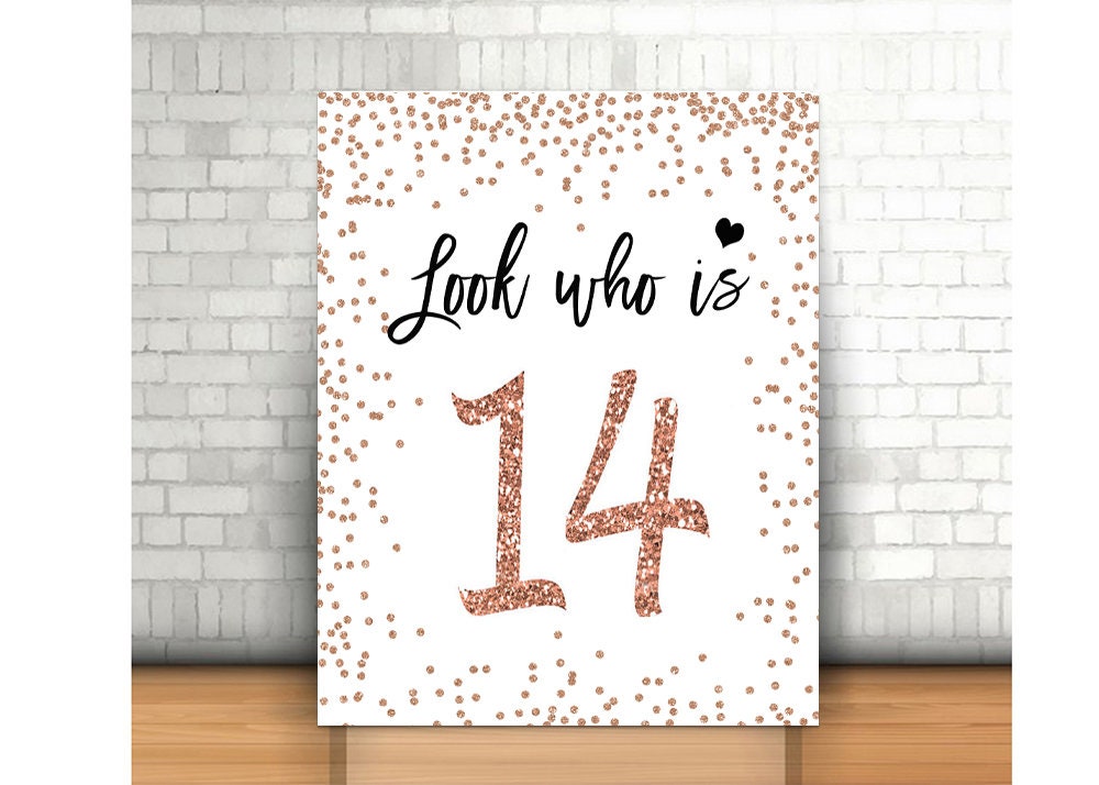 14th Birthday Signs Bundle, 8x10, Cheers to 14 Years, Hello 14, Happy ...