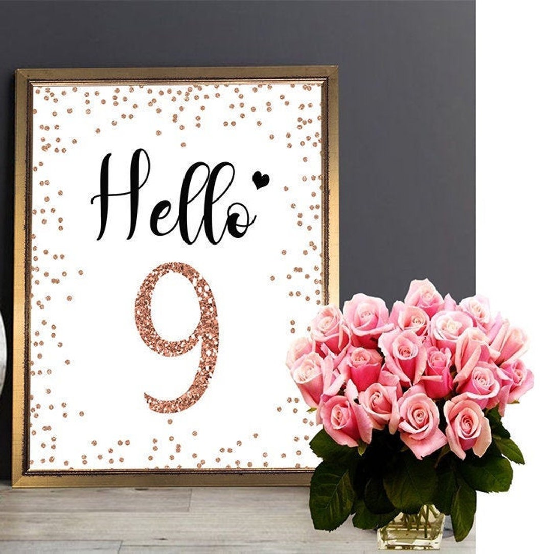 Rose Gold 9th Birthday Sign, Printable, Hello 9, Cheers to 9 Years ...