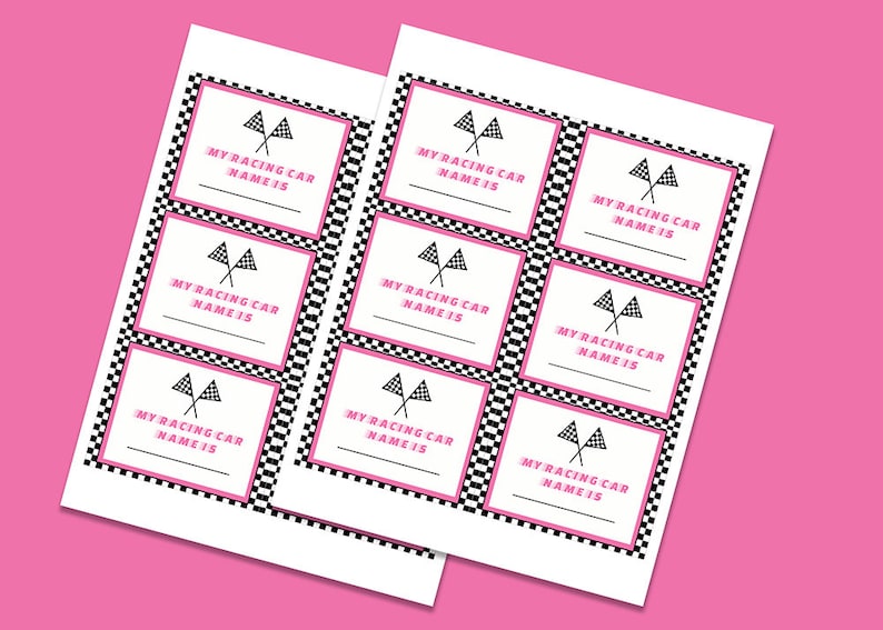 Pink Race Car Name Name Sign and Card Printable Car Names - Etsy