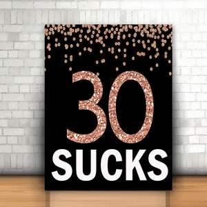 30th Birthday Signs Bundle, 30 Blows, 30 Sucks, 30 Can Kiss It, Happy ...