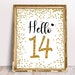 Gold 14th Birthday Decoration, 14th Birthday Signs Bundle, Cheers to 14 ...