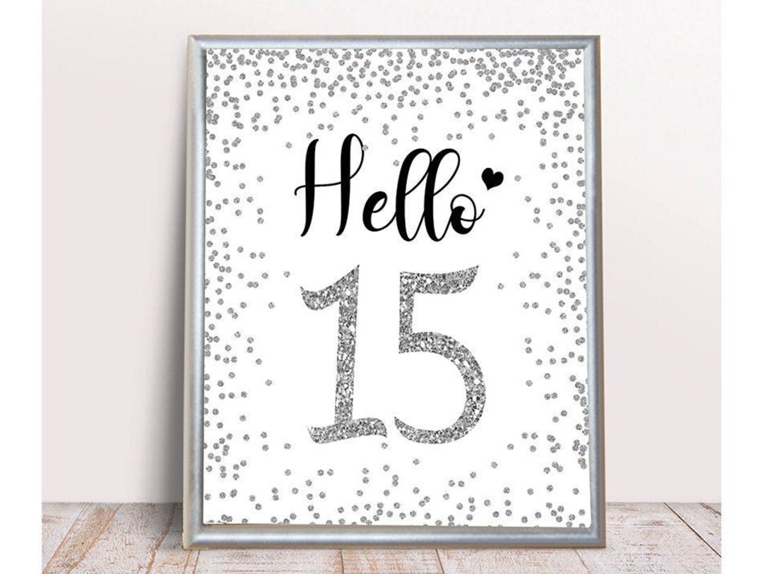 15th Birthday Sign, Hello 15, Cheers to 15 Years, Silver 15th Birthday ...