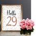 29th Birthday Signs Bundle, Cheers to 29 Years, Hello 29, Happy 29th ...